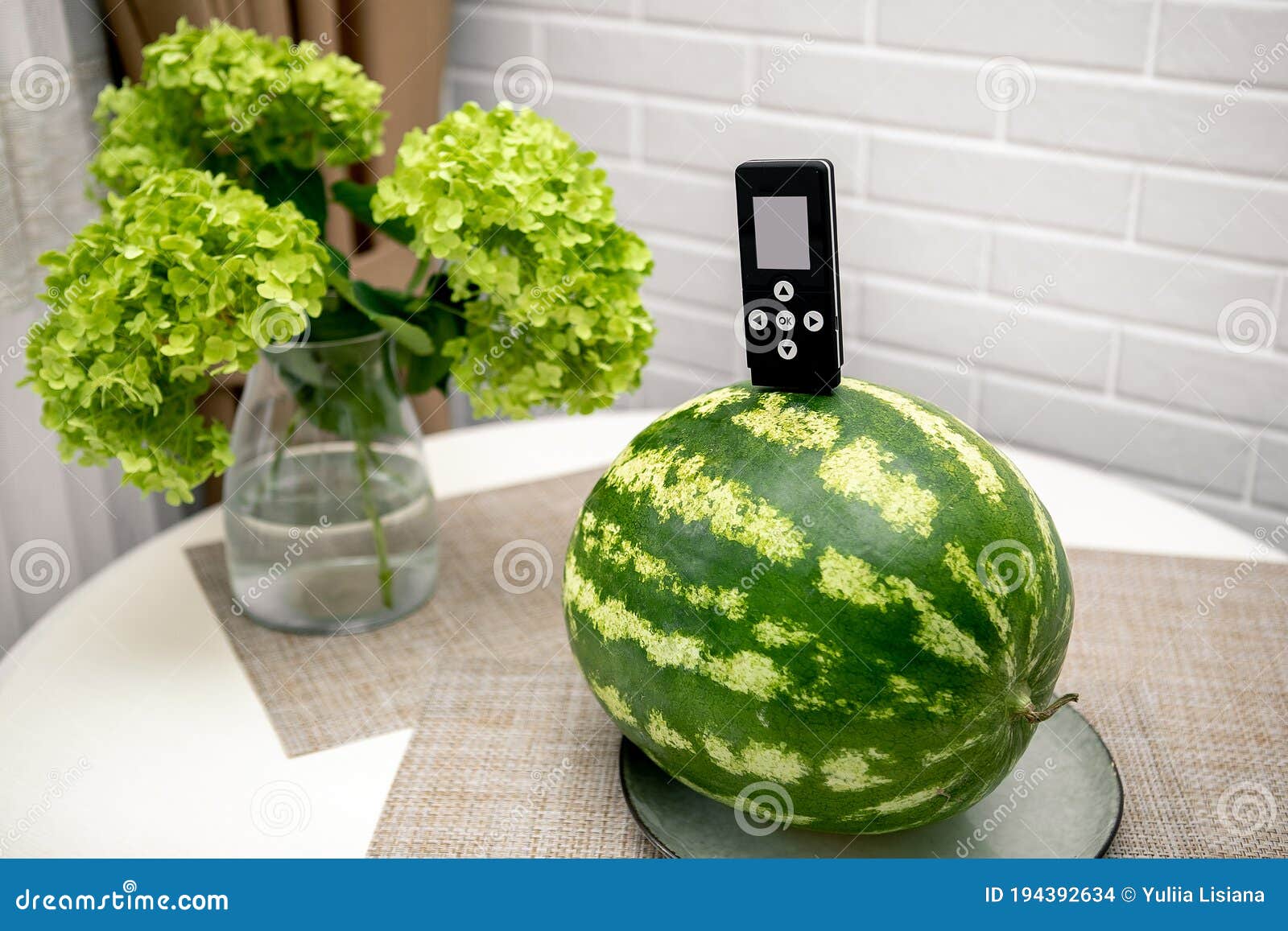 Nitrate Testers with Watermelon. Measuring the Concentration of ...
