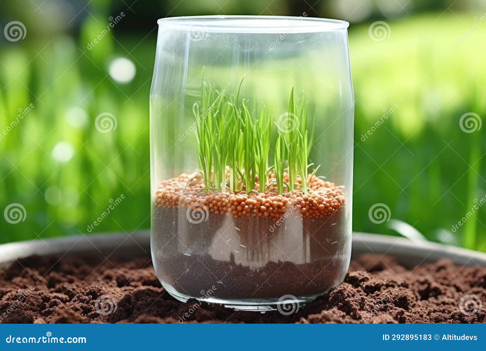 Nitrogen-based Chemical Fertilizer in a Glass Container Stock Image ...