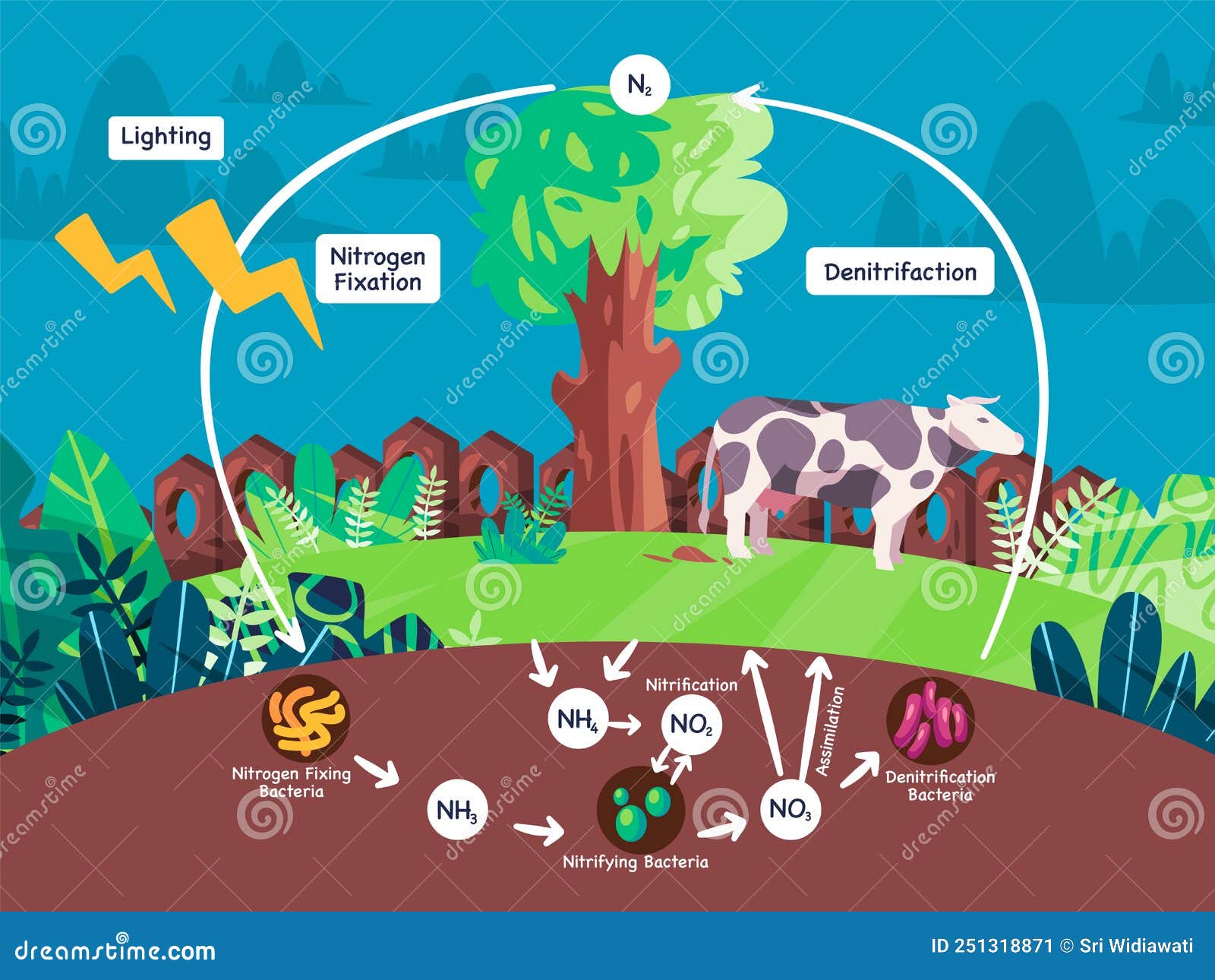 Biogeochemical Cycle As Natural Substance Circulation Pathway Outline ... Biogeochemical Cycle As Natural Substance Circulation Pathway Outline ...