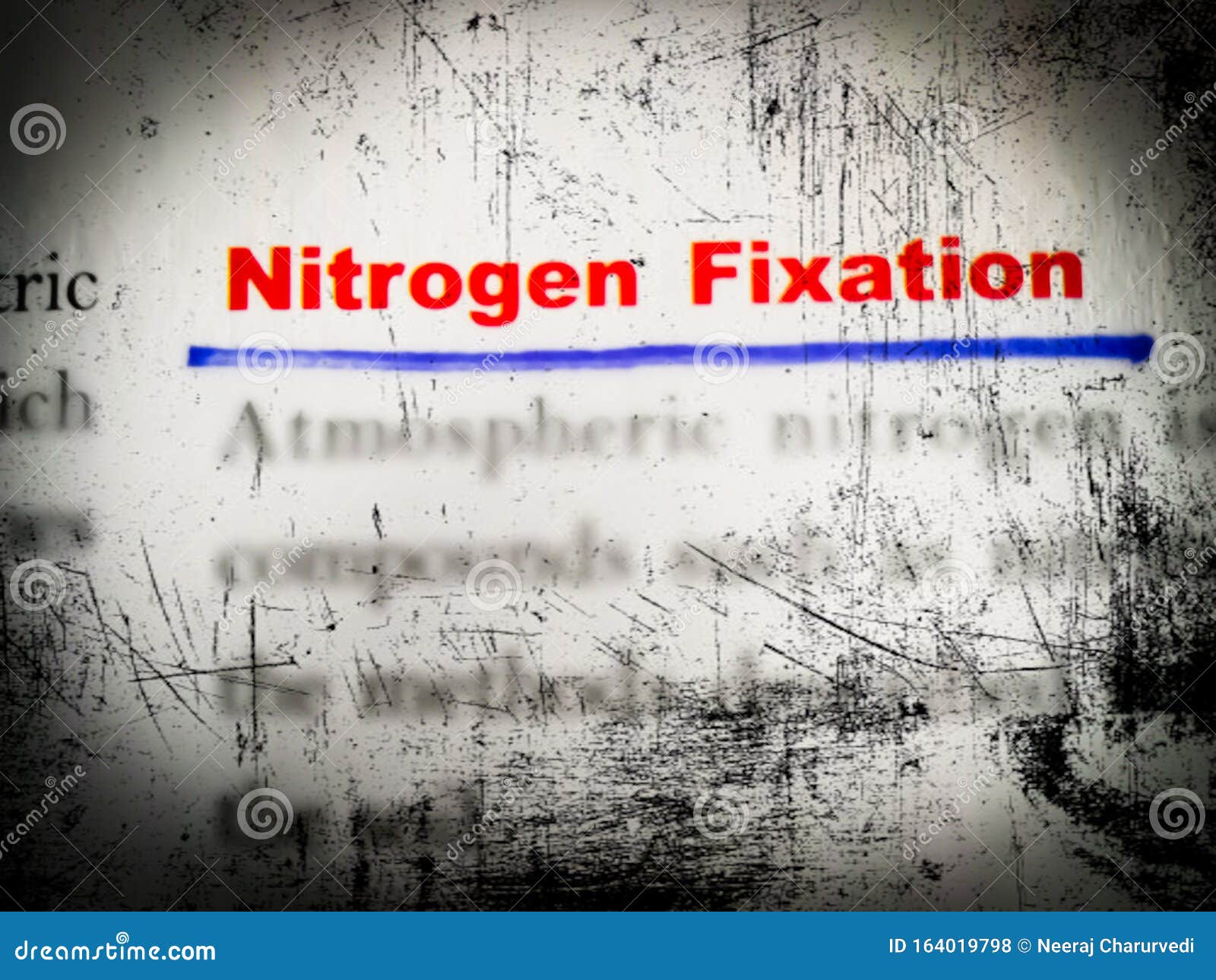 Nitrogen Fixation Keywords Displayed with Rough Paper Abstract ...