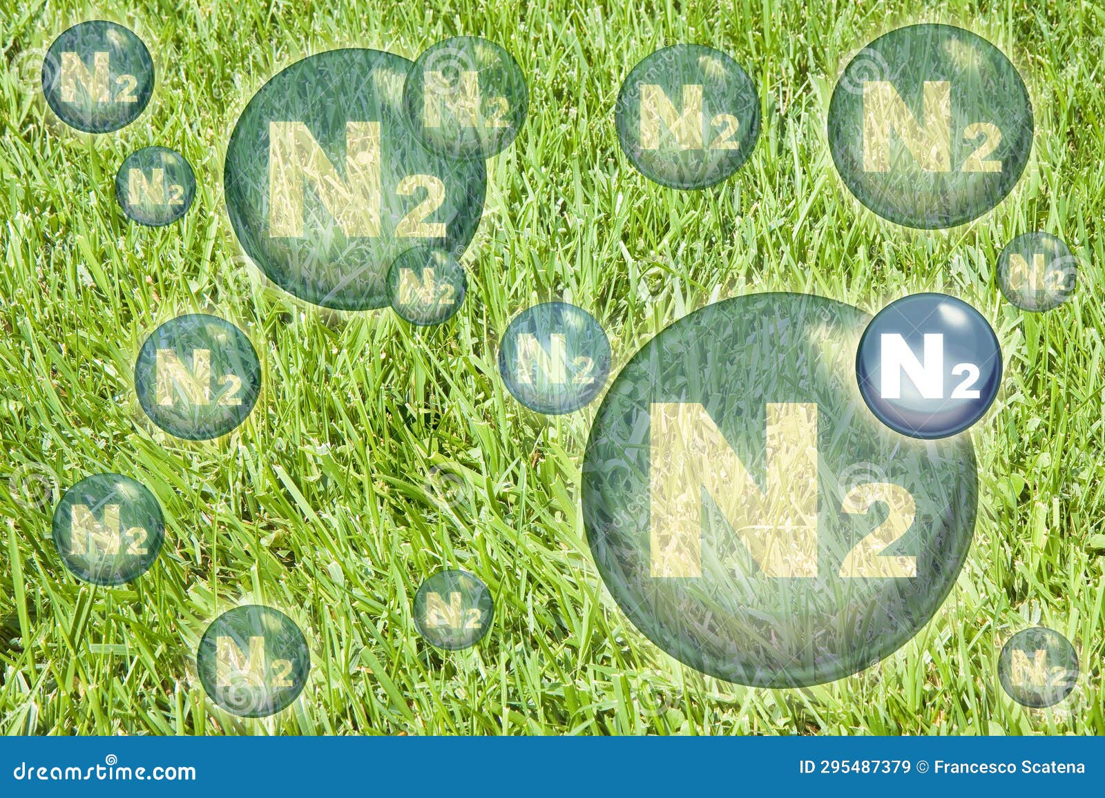 Nitrogen Cycle System Displaying On Text Form Paper Sheet Stock ...