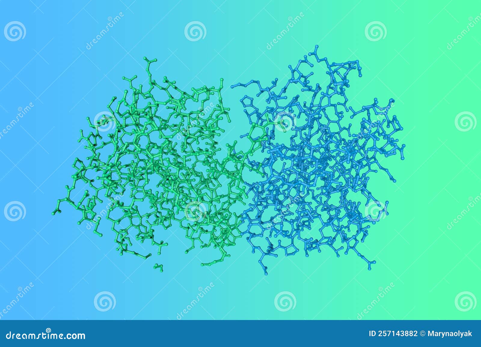 Nitrogen Regulatory Bacterial Protein IIa-nitrogen. Molecular Model ...