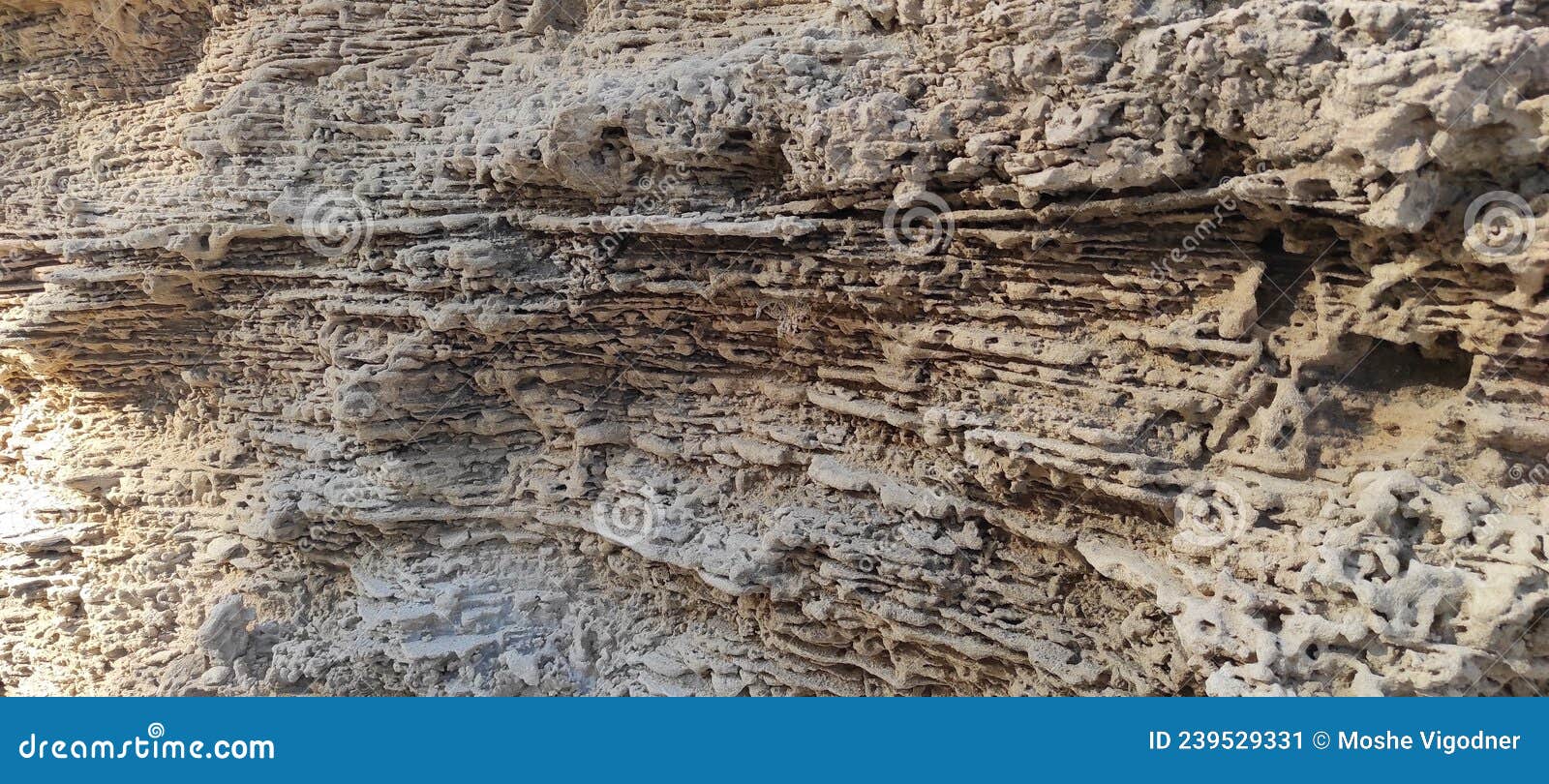 Niveles De Sedimento De Arenisca Imagen de archivo - Imagen de madera ...