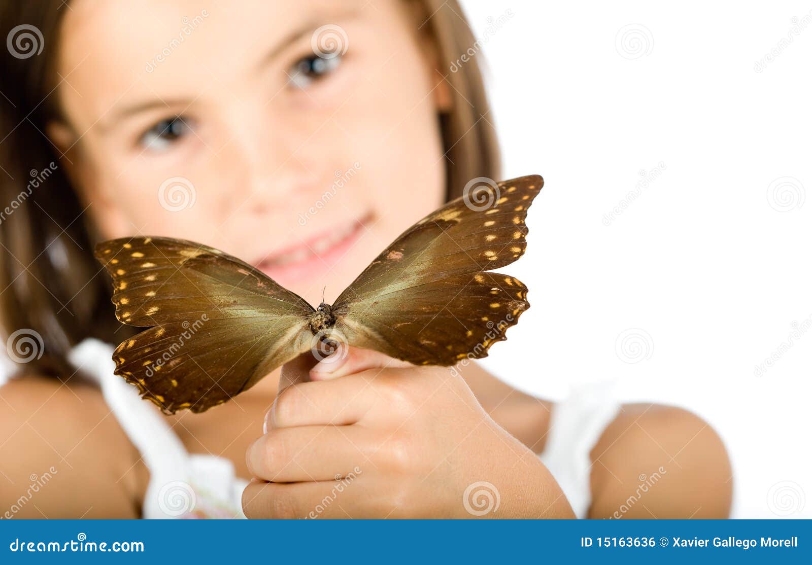 Niña Que Sostiene Una Mariposa Foto de archivo - Imagen de concepto ... Niña Que Sostiene Una Mariposa Foto de archivo - Imagen de concepto ...