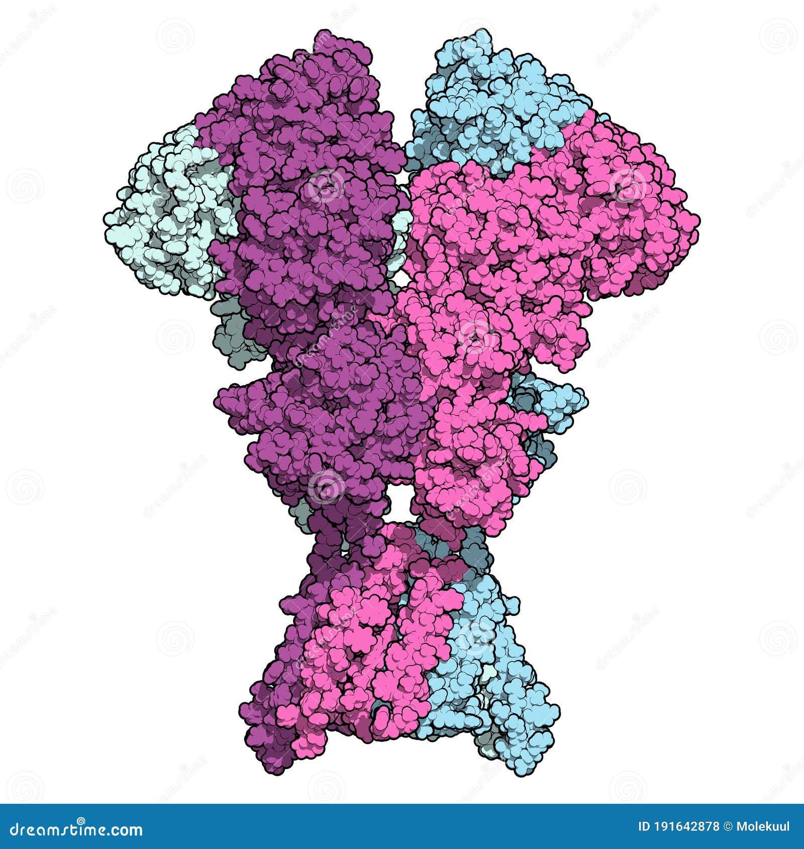 Cryo-EM Structure Of The Active NLRP3 Inflammasome Disk Stock ... Cryo-EM Structure Of The Active NLRP3 Inflammasome Disk Stock ...
