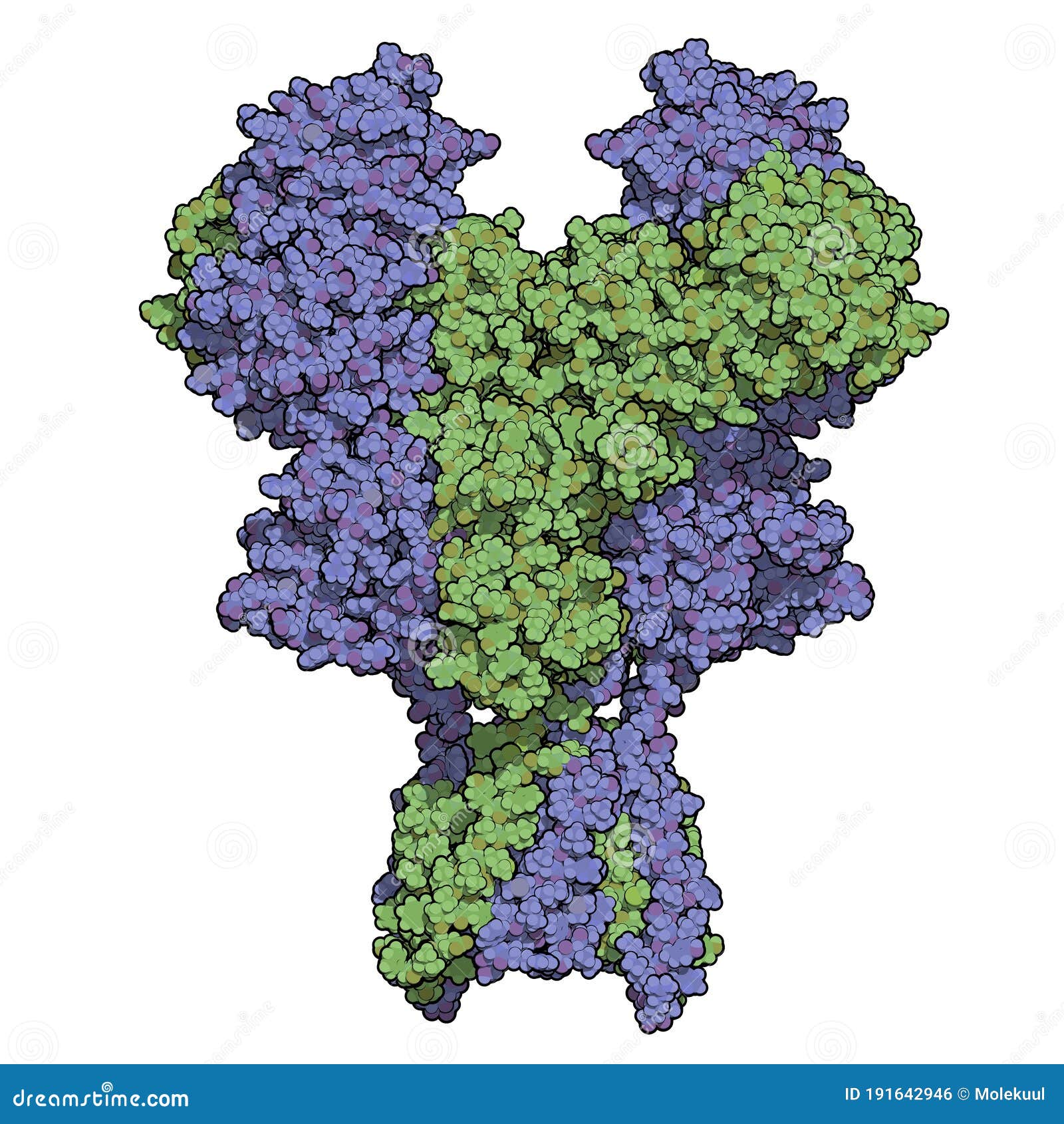 NMDA Receptor Ionotropic Glutamate Receptor. Structure of the Human ...