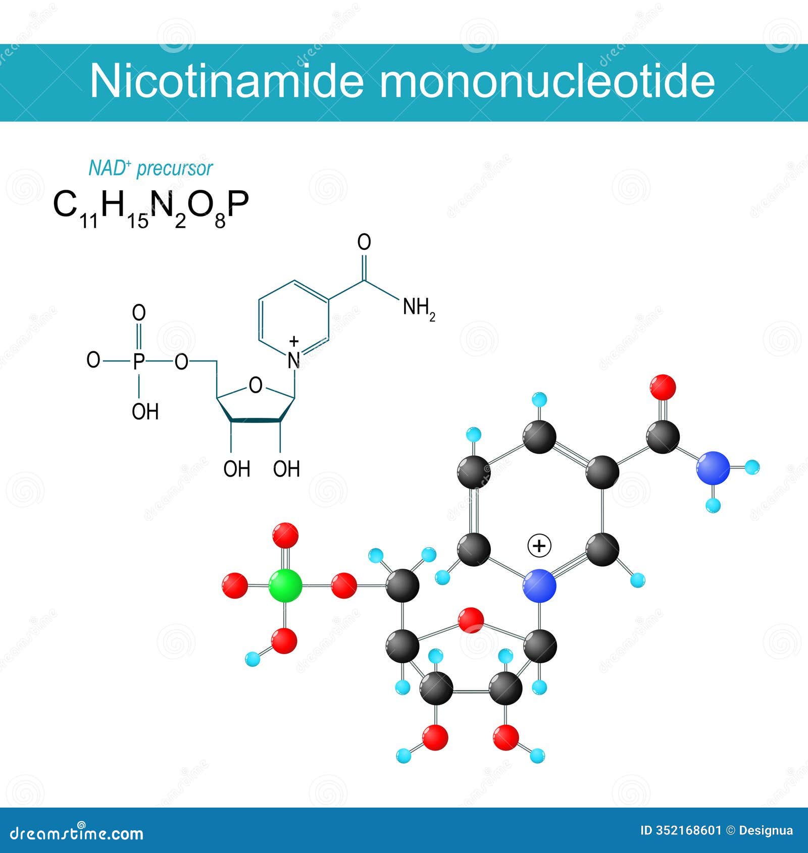 NMN Molecule. Nicotinamide Mononucleotide Stock Vector - Illustration ...
