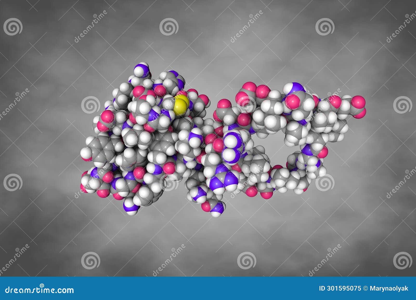 NMR Structure of Proinsulin. Space-filling Molecular Model. 3d ...