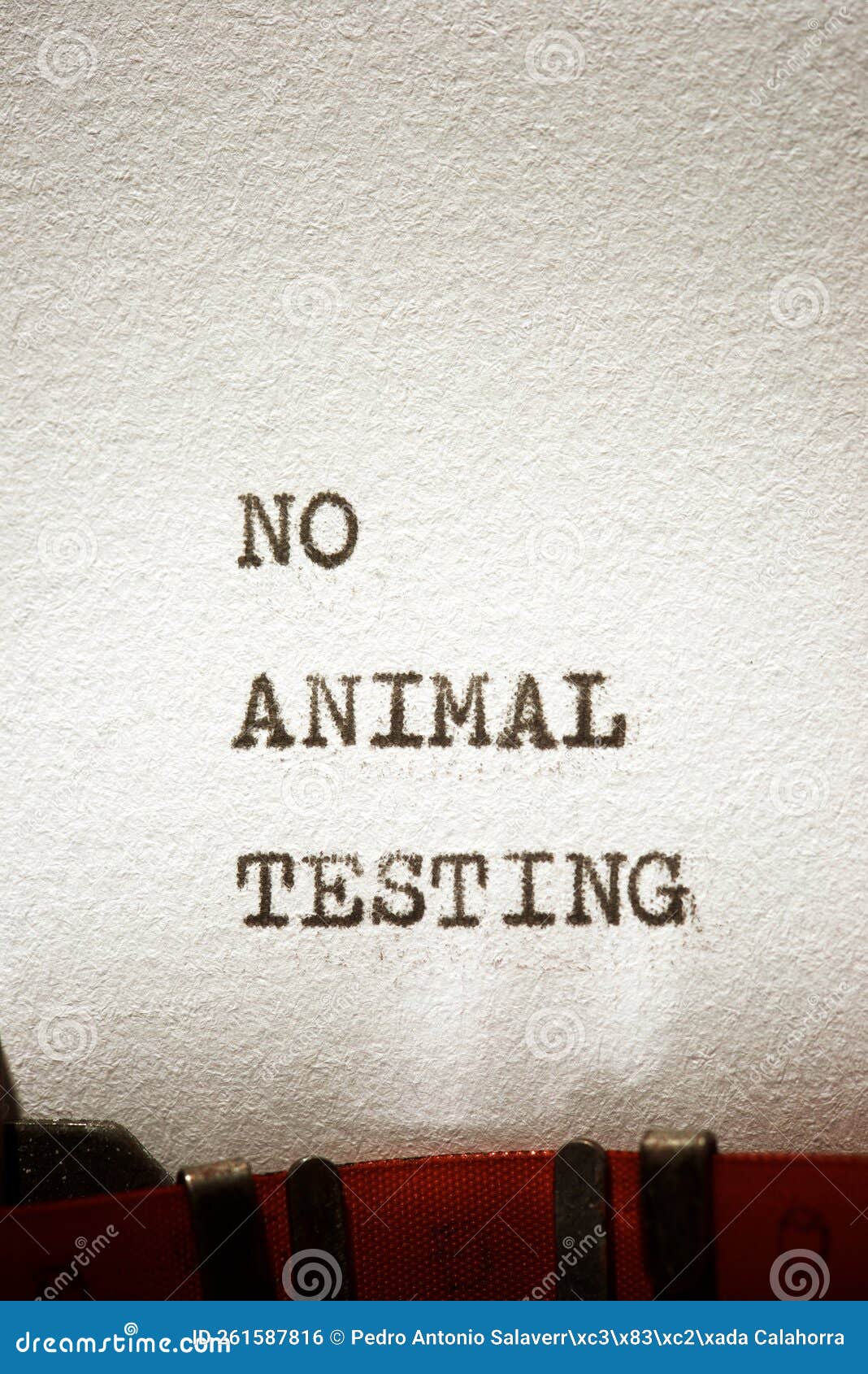 No animal testing stock photo. Image of rights, message - 261587816