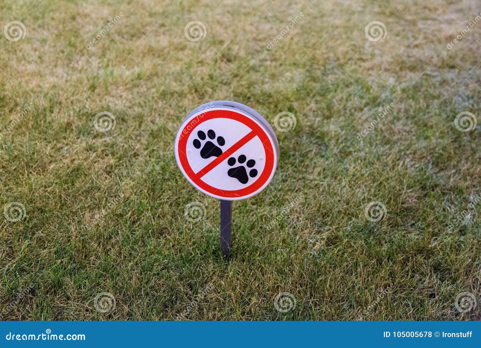 No animals sign stock photo. Image of traces, grassplot - 105005678
