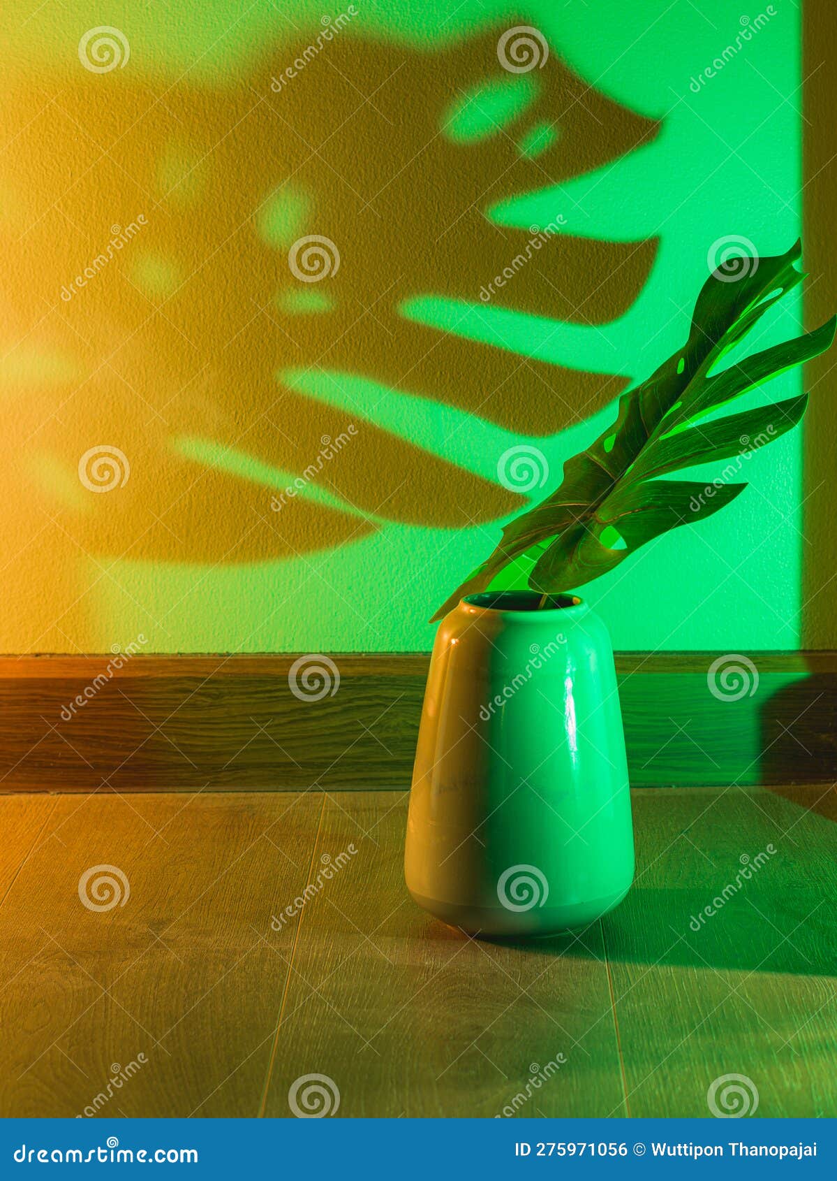 NO.1 Atificial Plastic Leaf Play Color Light Stock Photo - Image of ...