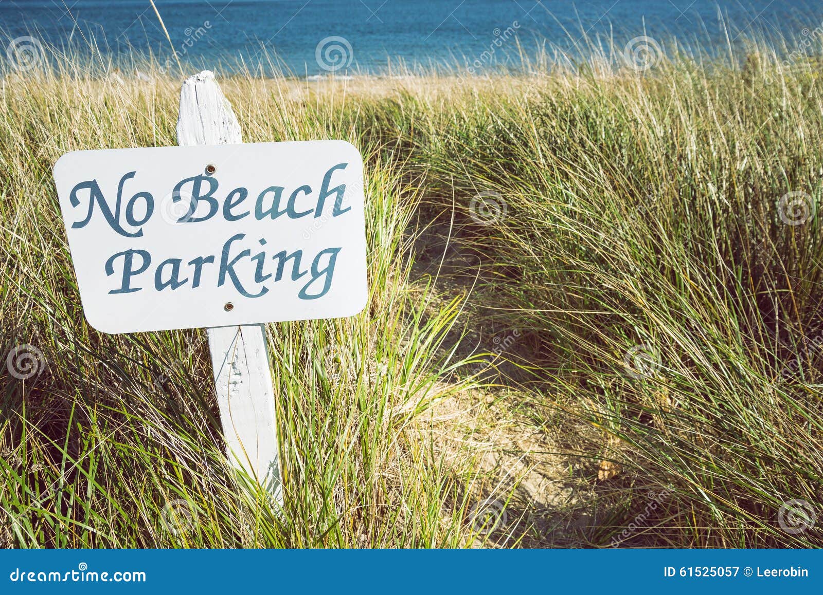 No beach parking sign stock image. Image of white, shoreline - 61525057