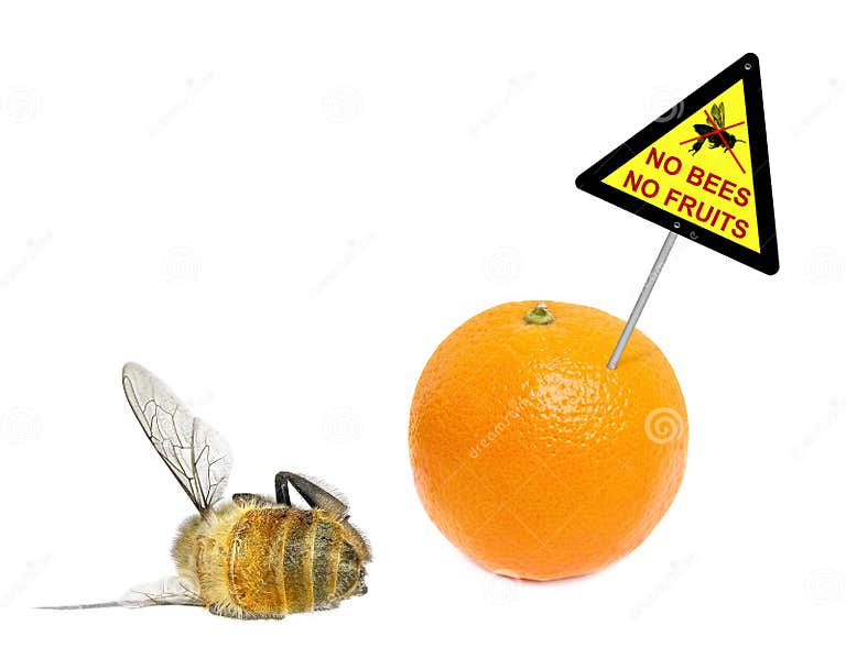 No bees - No Fruit stock image. Image of pollinate, pesticides - 125020553