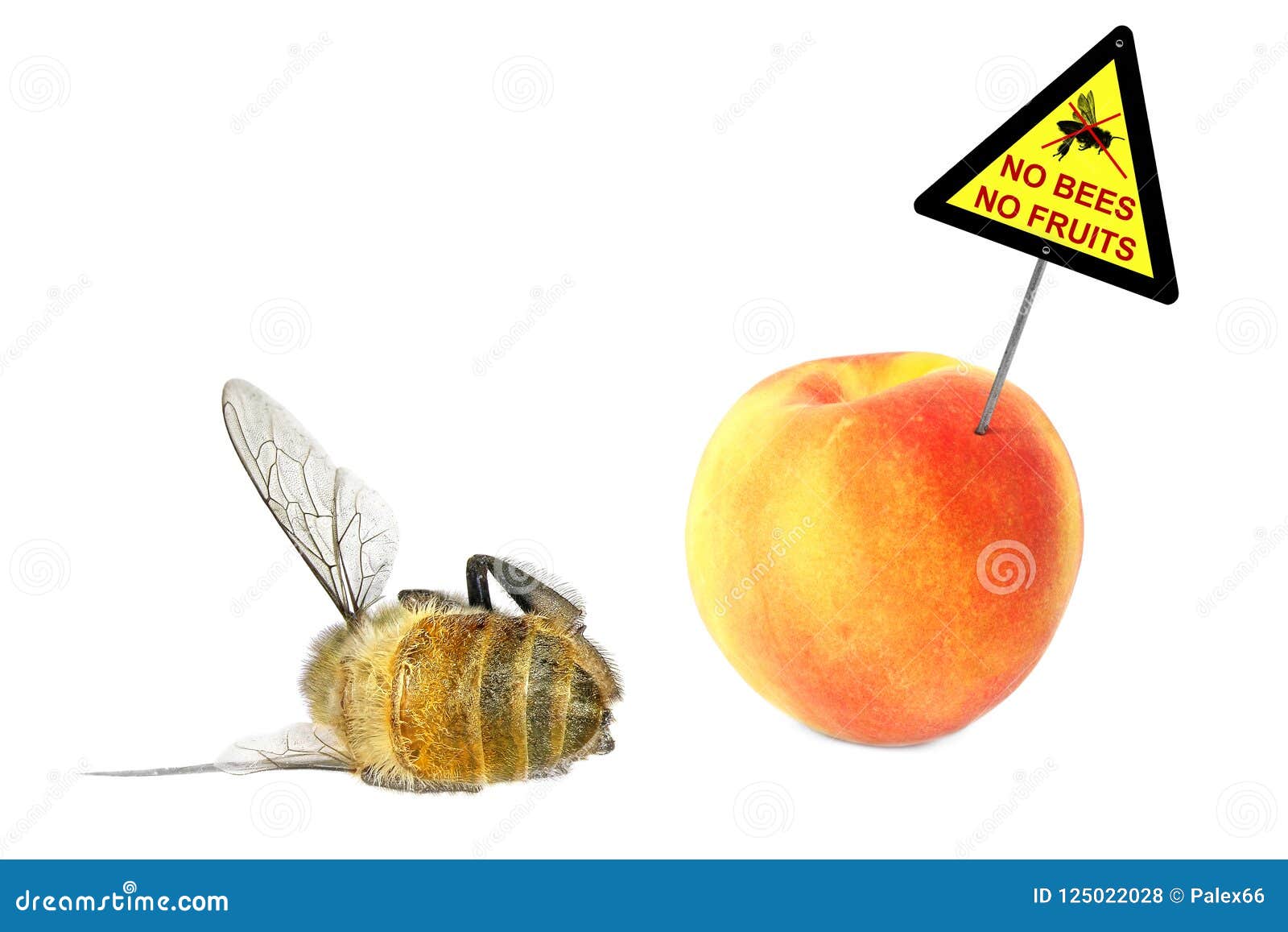 No bees - No Fruit stock photo. Image of honeybee, pesticides - 125022028