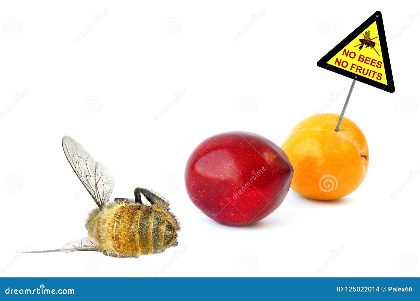 No bees - No Fruit stock photo. Image of pesticides - 125022014