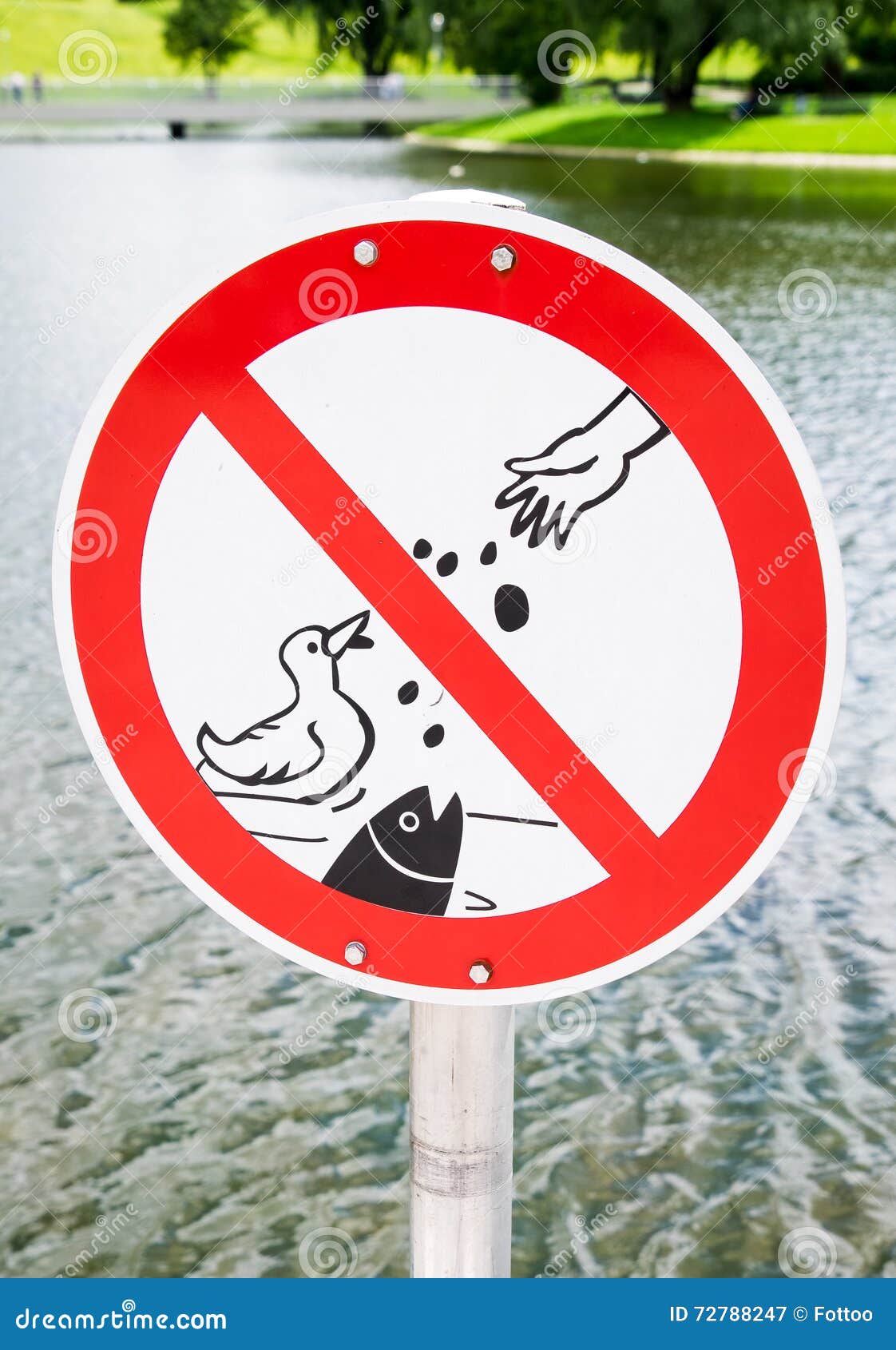 No bird feeding stock image. Image of animals, green - 72788247