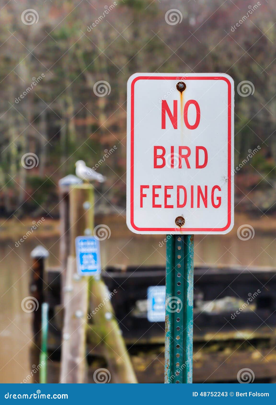 No Bird Feeding sign stock image. Image of blurred, warning - 48752243