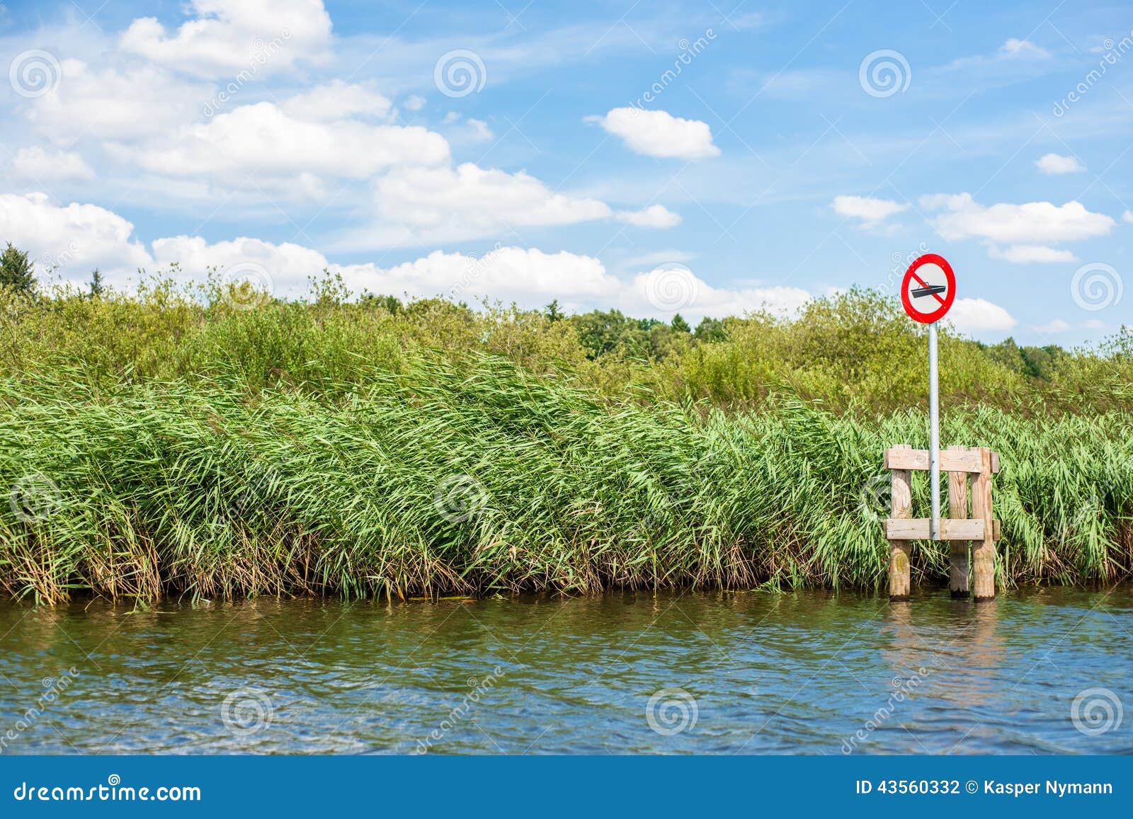 No boating sign at a lake stock photo. Image of rushes - 43560332