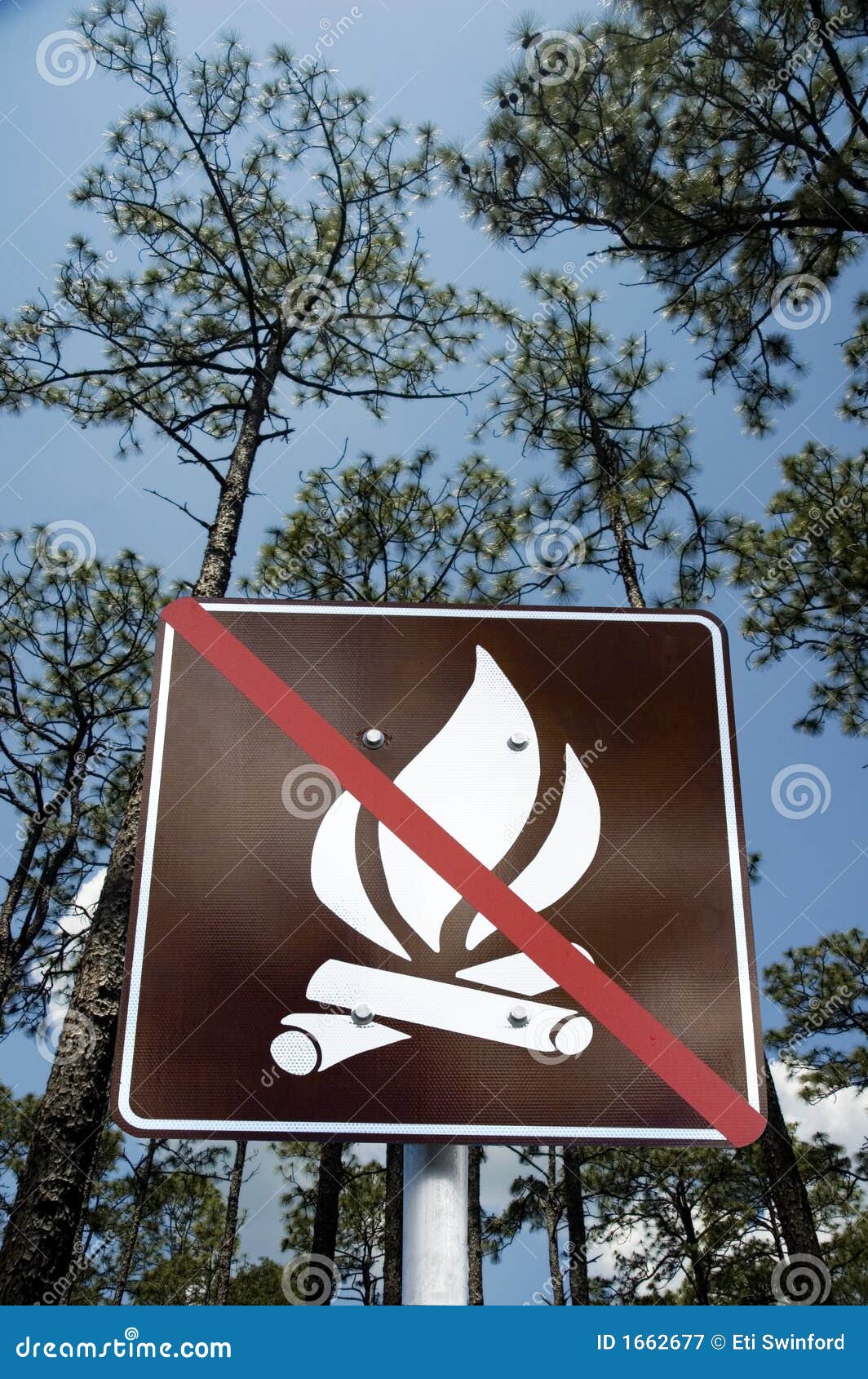 No Campfire Sign with Forest Stock Image - Image of fire, wind: 1662677