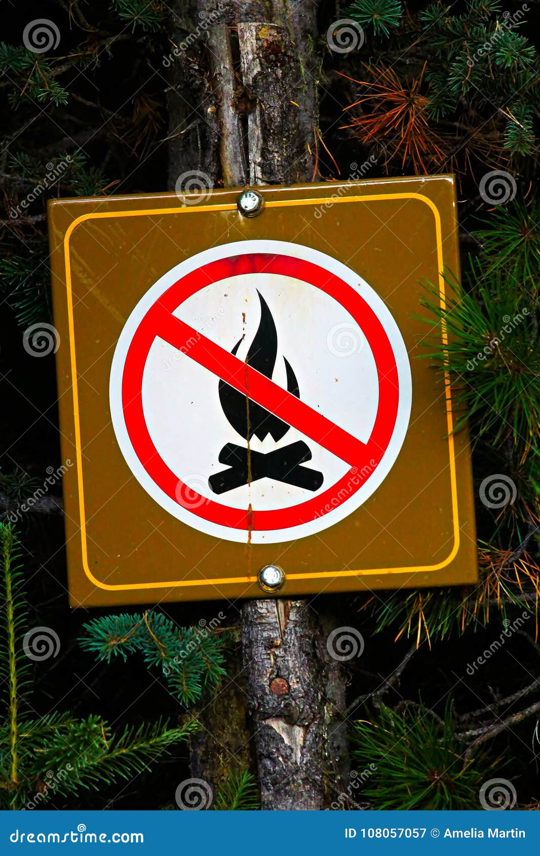 A No Campfire Sign Posted on a Tree Stock Image - Image of campfire ...