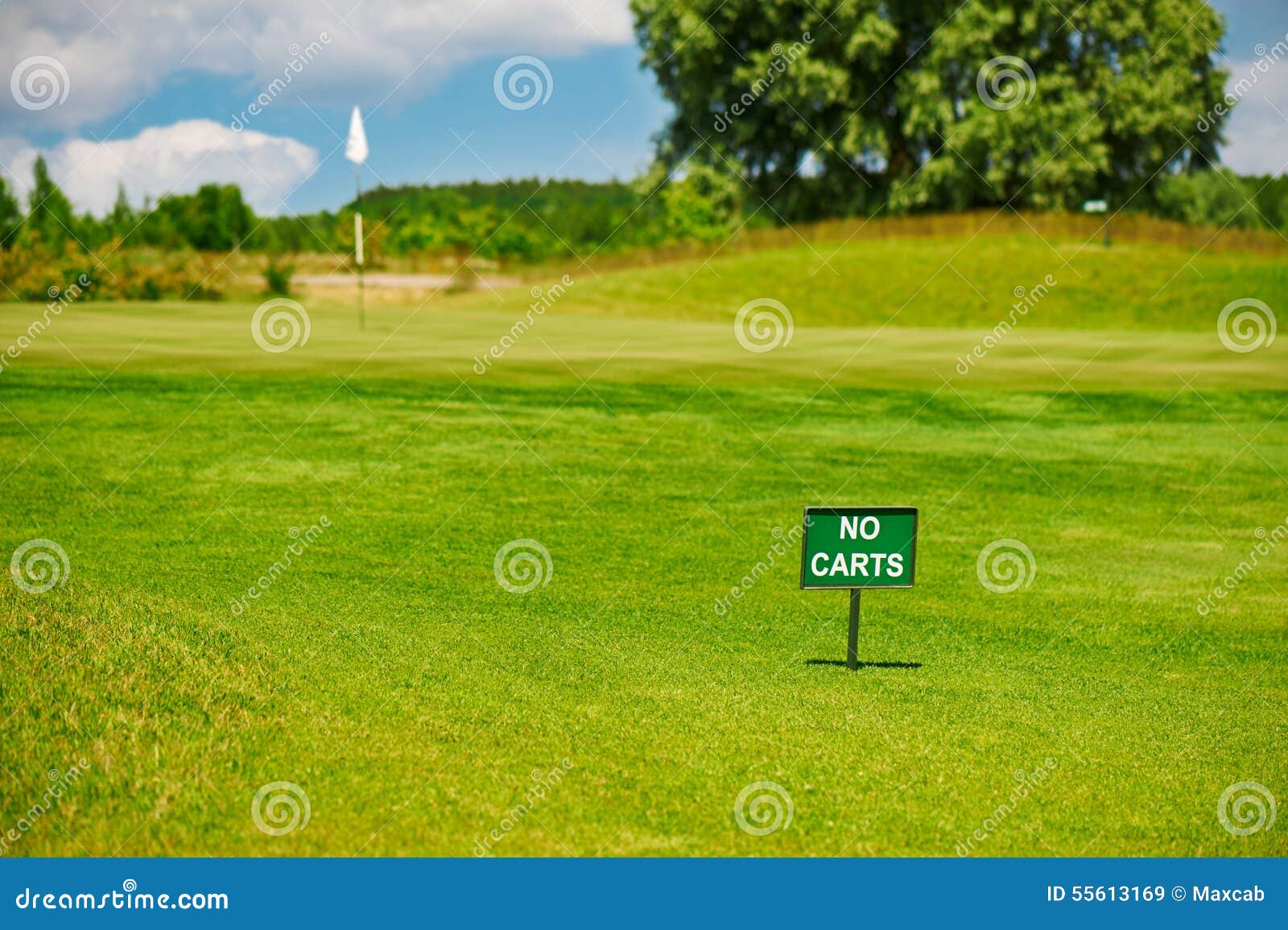 No carts sign stock image. Image of recreation, cart - 55613169