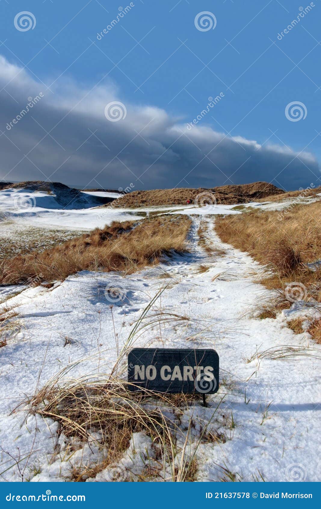 No Carts Sign on a Snow Covered Links Golf Course Stock Photo - Image ...