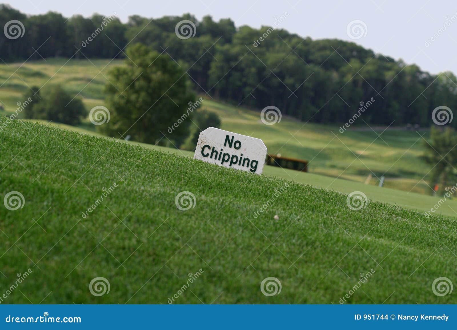 No Chipping stock photo. Image of birdie, fitness, grass - 951744