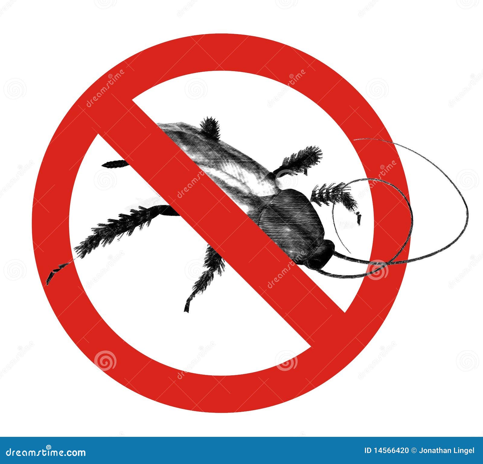 No cockroaches stock illustration. Illustration of crawly - 14566420