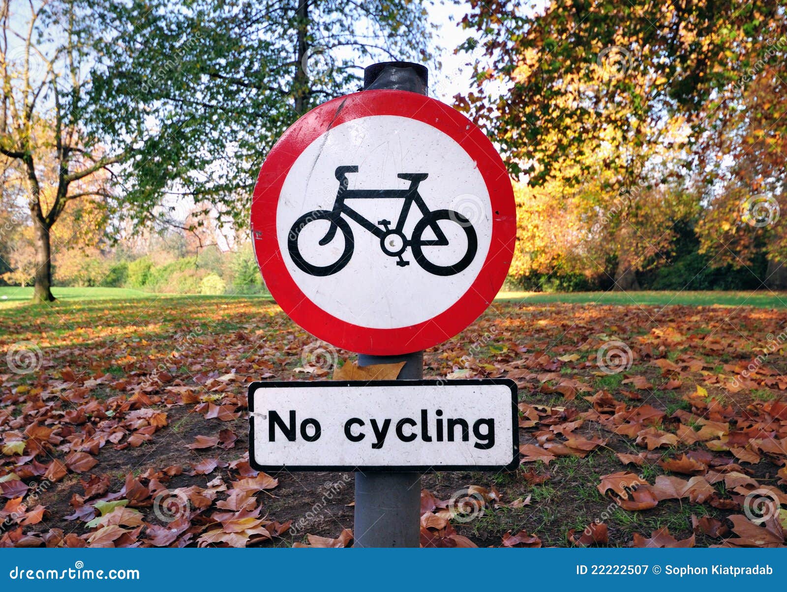 'No bikes allowed' or 'No cycling' | WordReference Forums