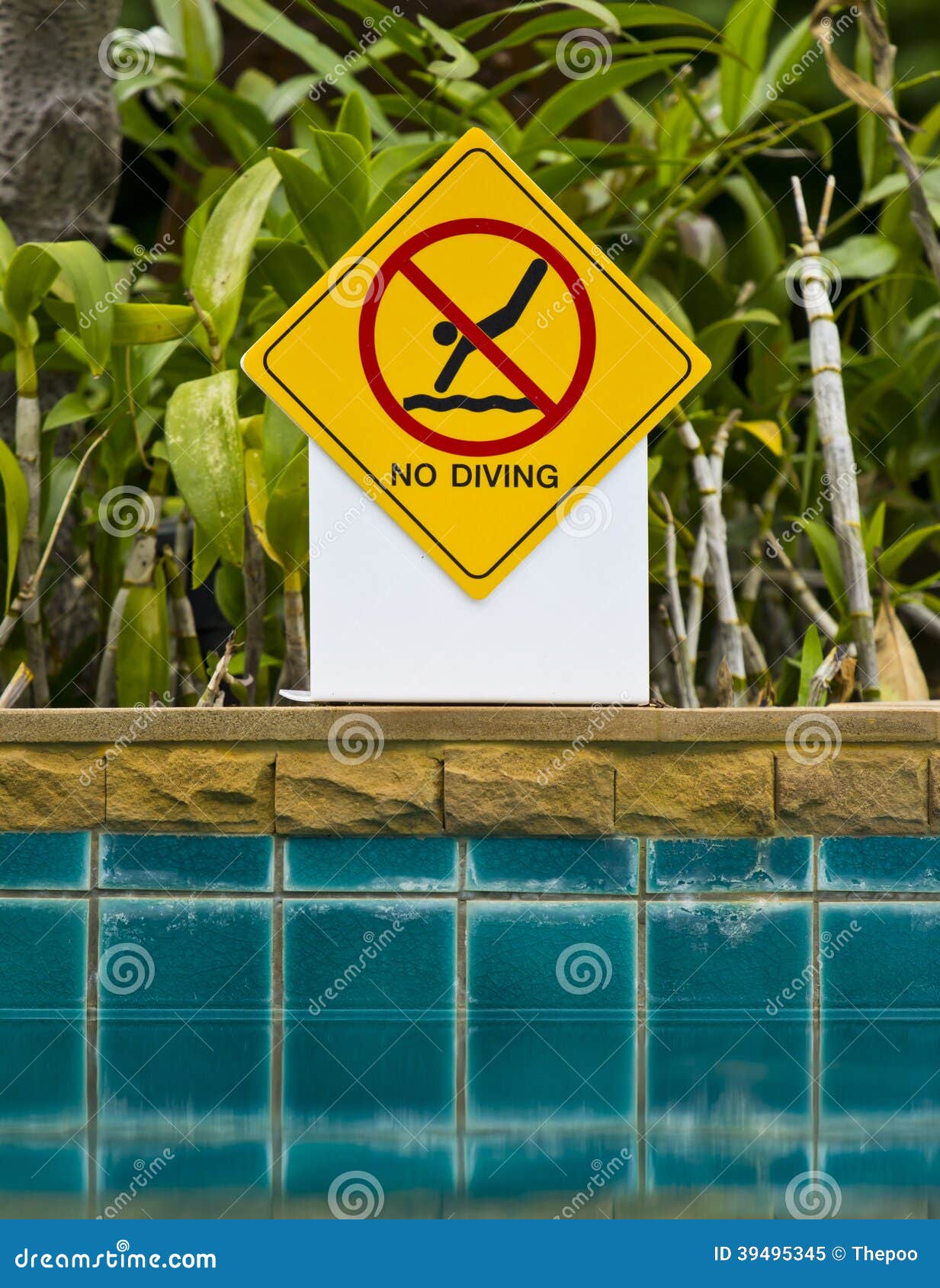 No diving Sign stock image. Image of dive, rule, warning - 39495345