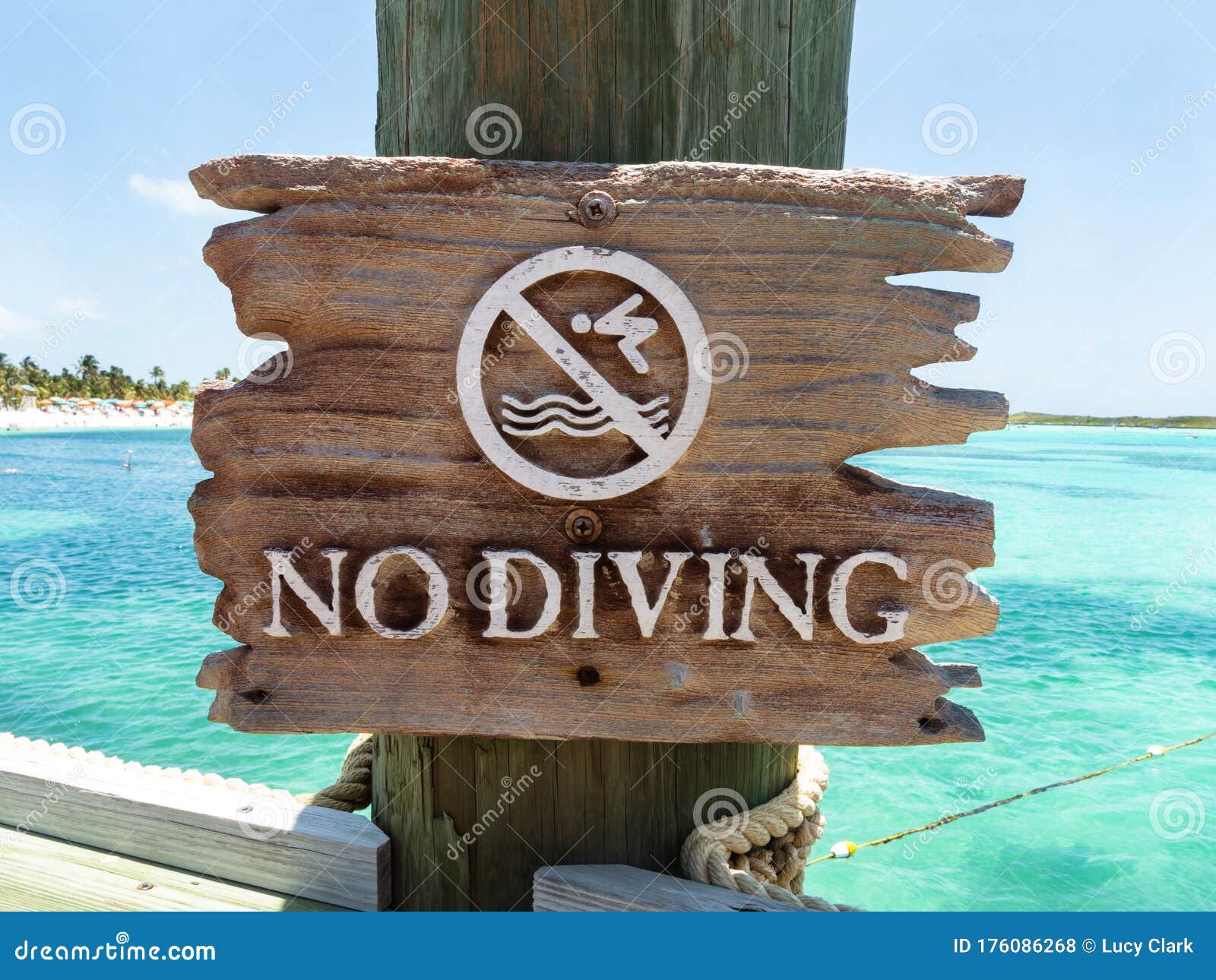 No Diving Sign stock photo. Image of diving, warning - 176086268