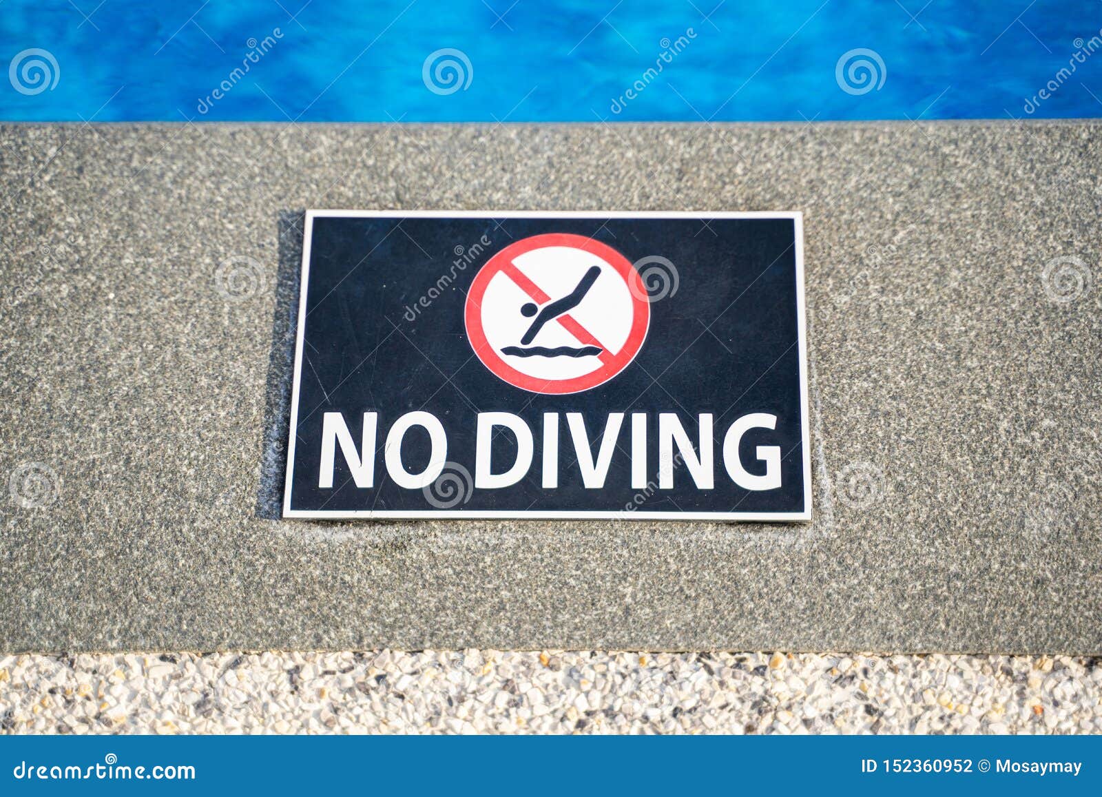 No Diving Warning Sign at Swimming Pool Stock Photo - Image of diving ...