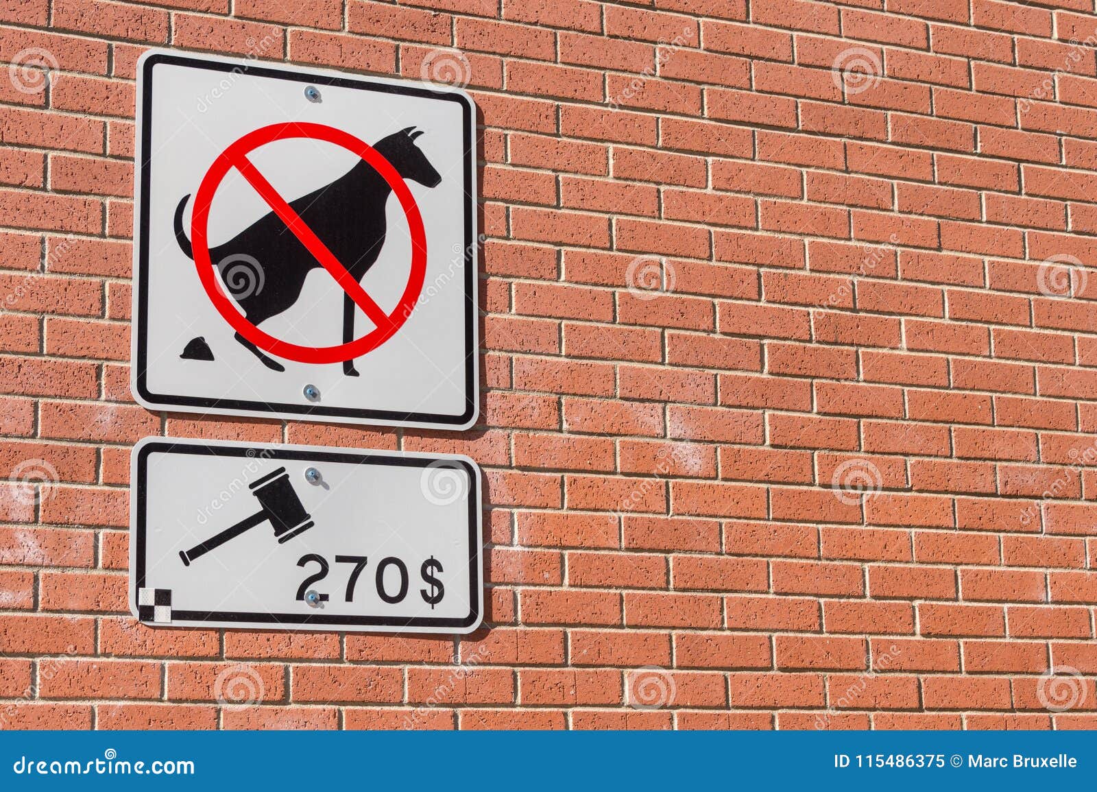 No dog pooping sign stock image. Image of puppy, information - 115486375