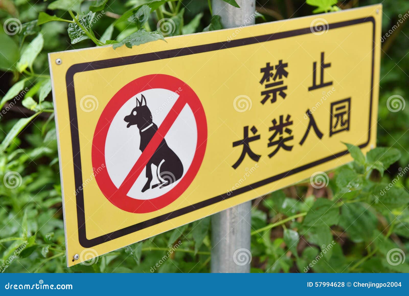 No dog s notice stock photo. Image of marked, remind - 57994628