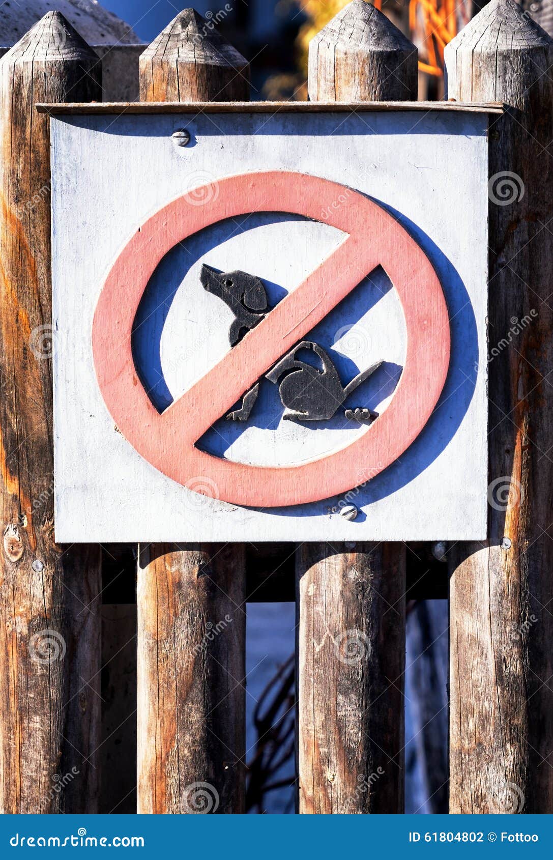 No dog sign stock photo. Image of copy, yard, allowed - 61804802