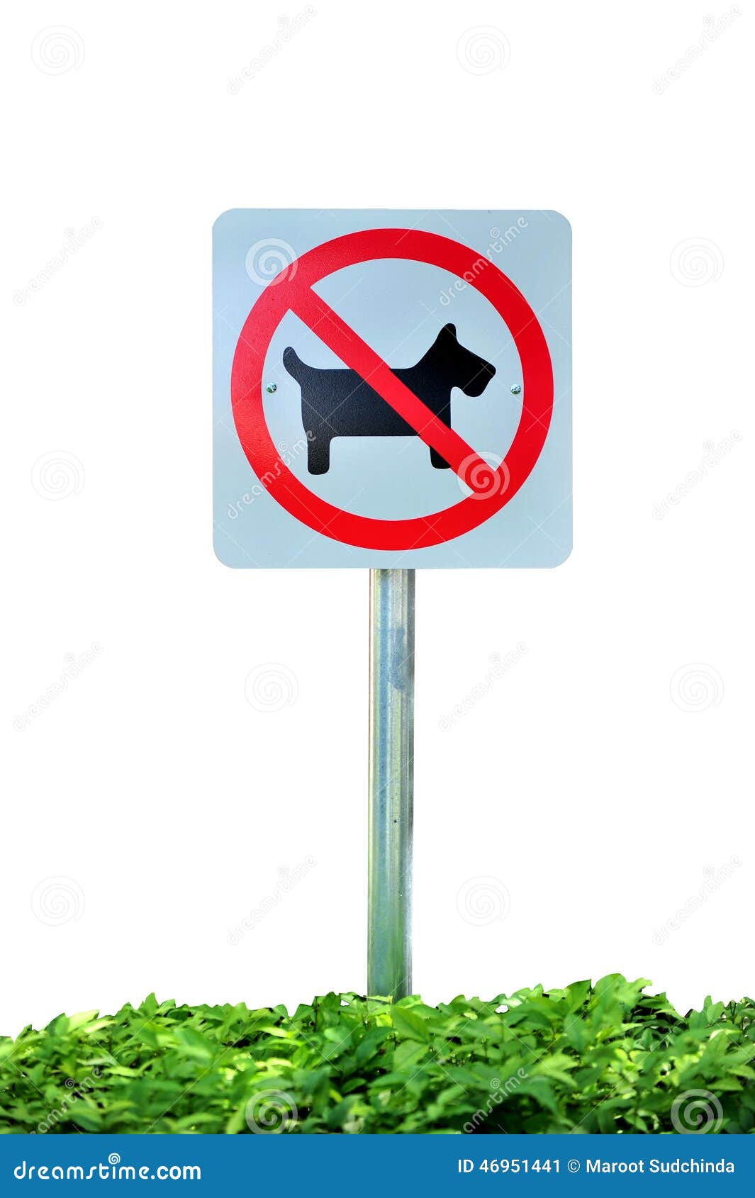 No dog sign stock image. Image of puppy, strike, zone - 46951441