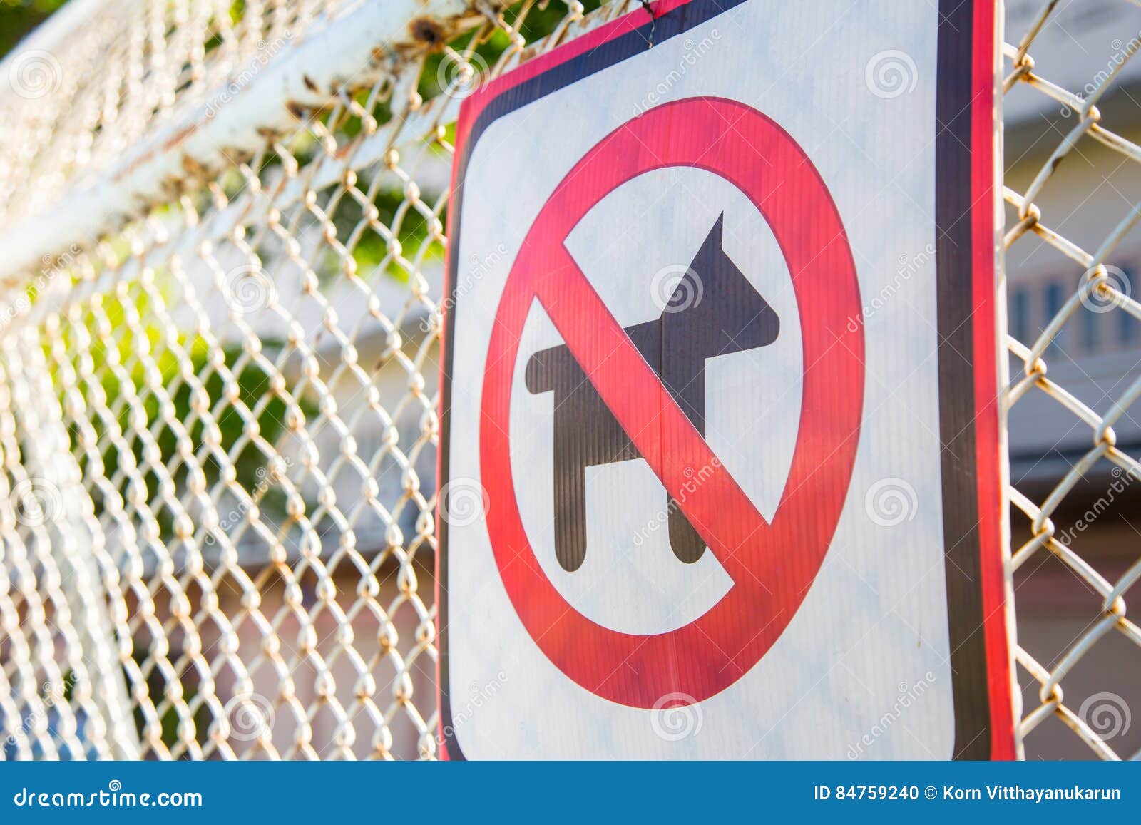 No dog zone sign stock photo. Image of illegal, zone - 84759240