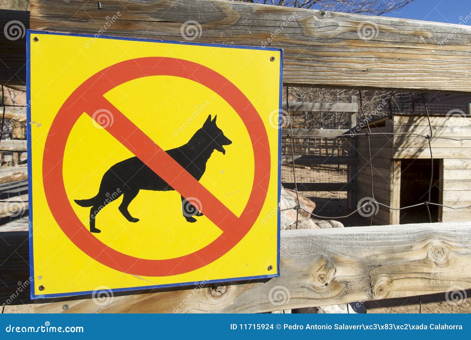 No dogs stock photo. Image of mess, canine, excluded - 11715924