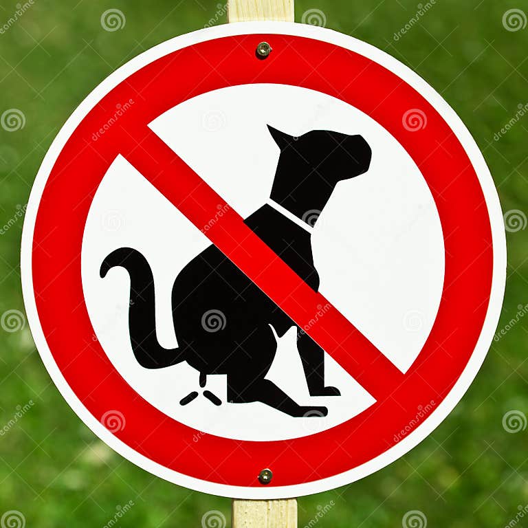 No Dogs stock photo. Image of prohibition, clean, public - 16304044