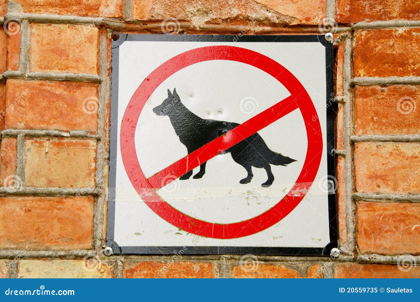No dogs. stock image. Image of restricted, attention - 20559735