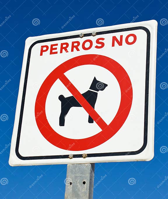 No Dogs stock image. Image of perro, perros, prohibited - 21204089