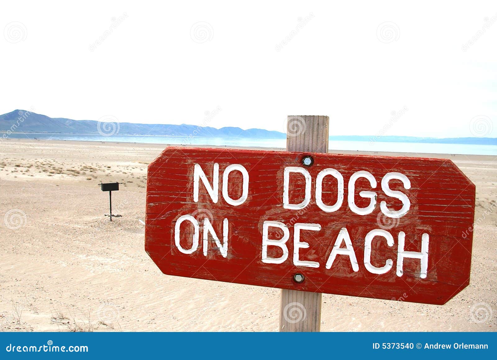 No Dogs stock photo. Image of outdoor, animals, outdoors - 5373540