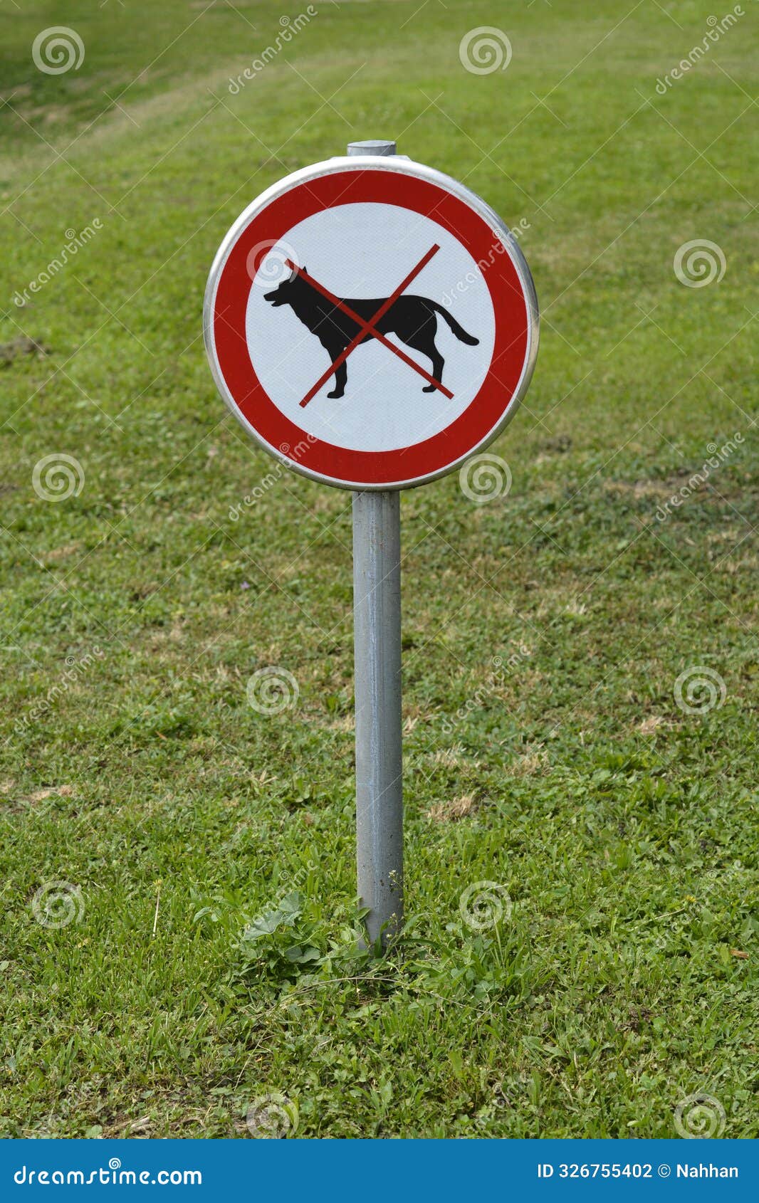 No Dogs Allowed Italian Vietato L`ingresso Ai Cani Text IT Warning Sign ...