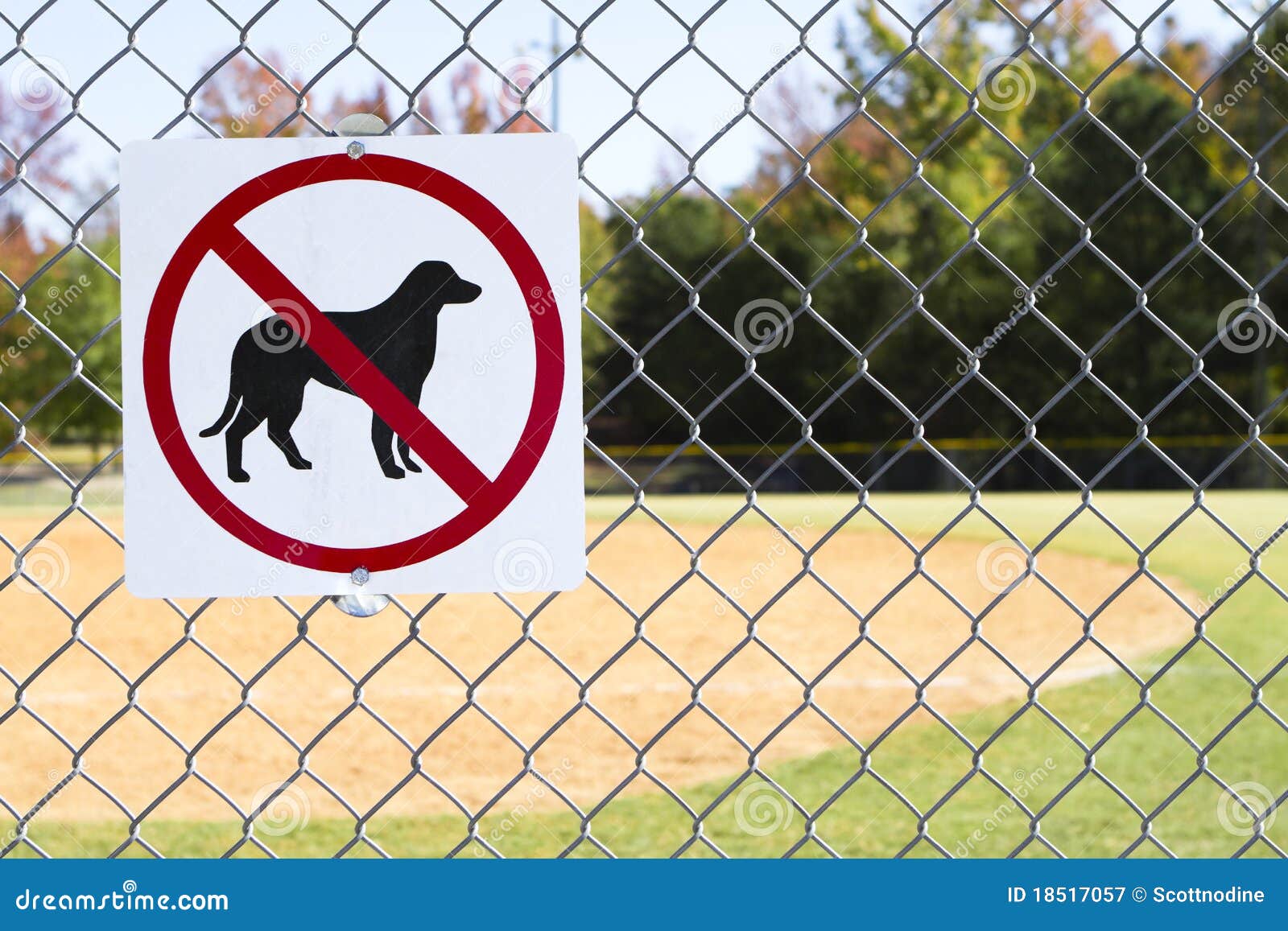 No Dogs Allowed Text Warning Sign, Isolated Large Detailed Ban Signage ...
