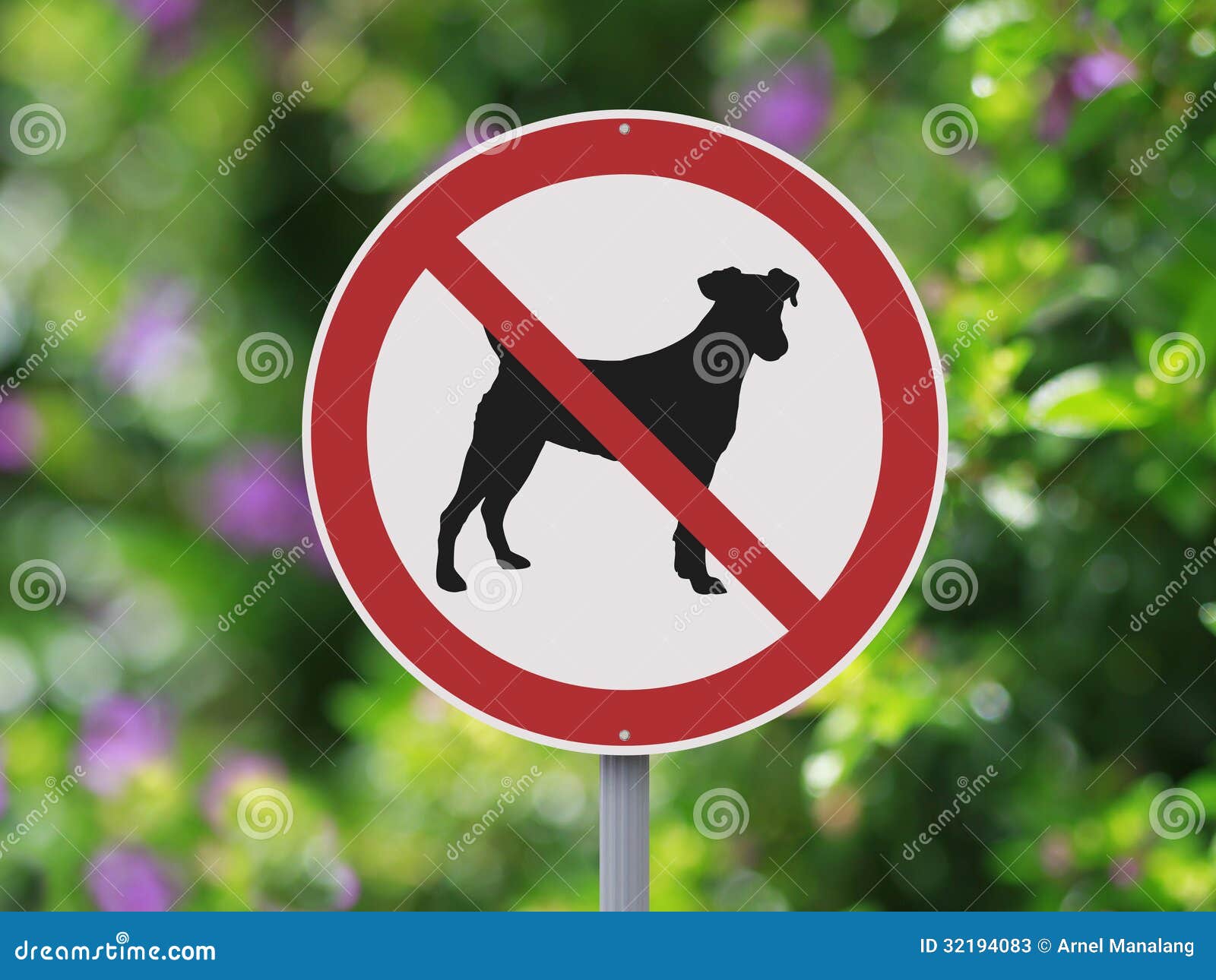 No Dogs Allowed Text Warning Sign, Isolated Large Detailed Ban Signage ...
