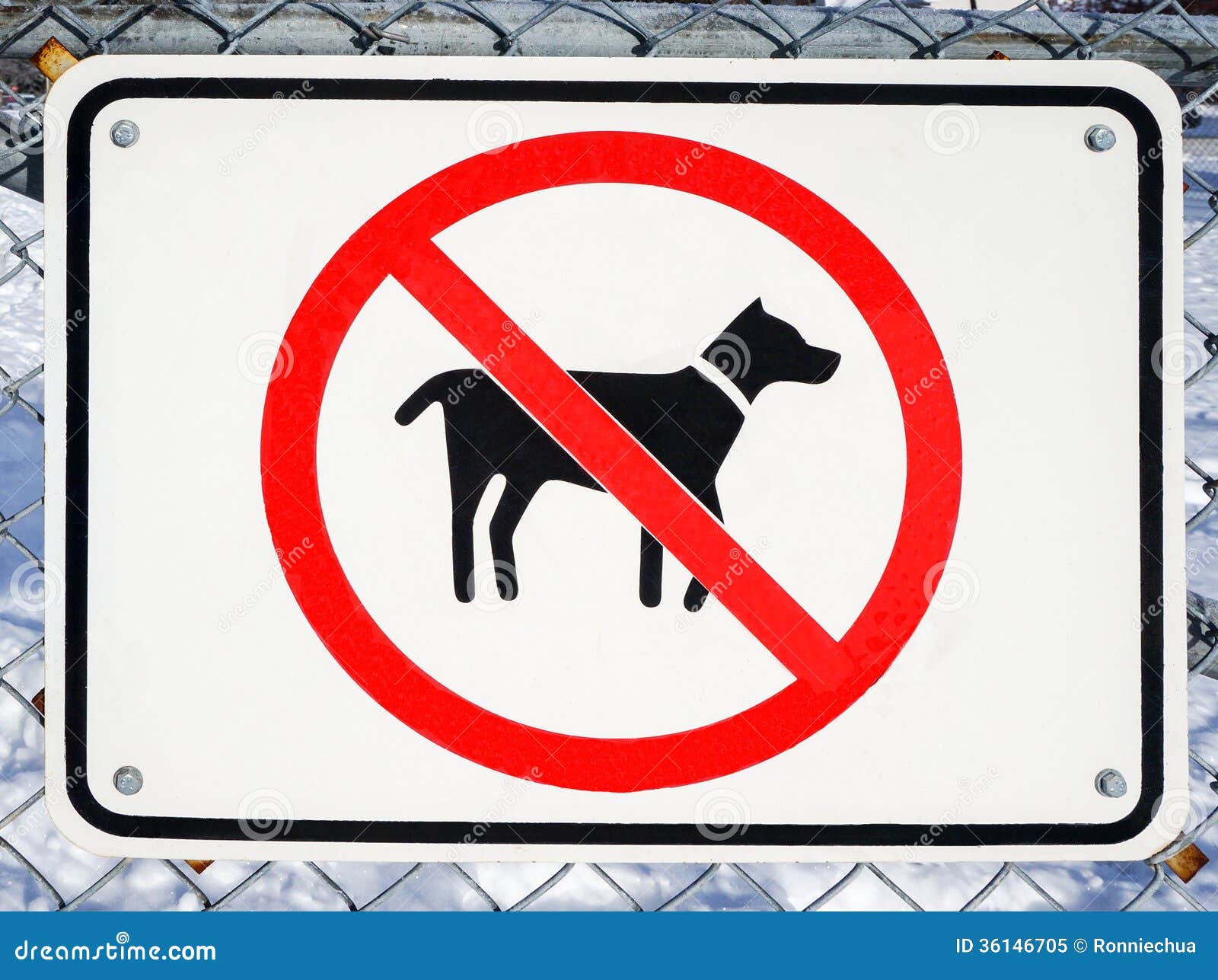 No Dogs Allowed Text Warning Sign, Isolated Large Detailed Ban Signage ...