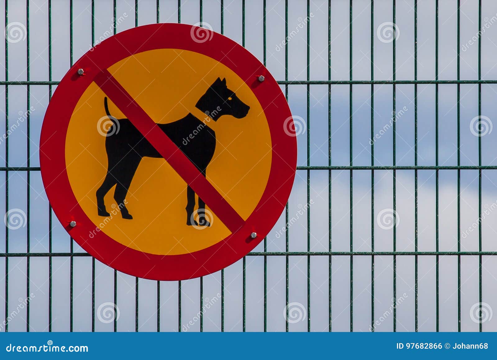 No Dogs Allowed Text Warning Sign, Isolated Large Detailed Ban Signage ...