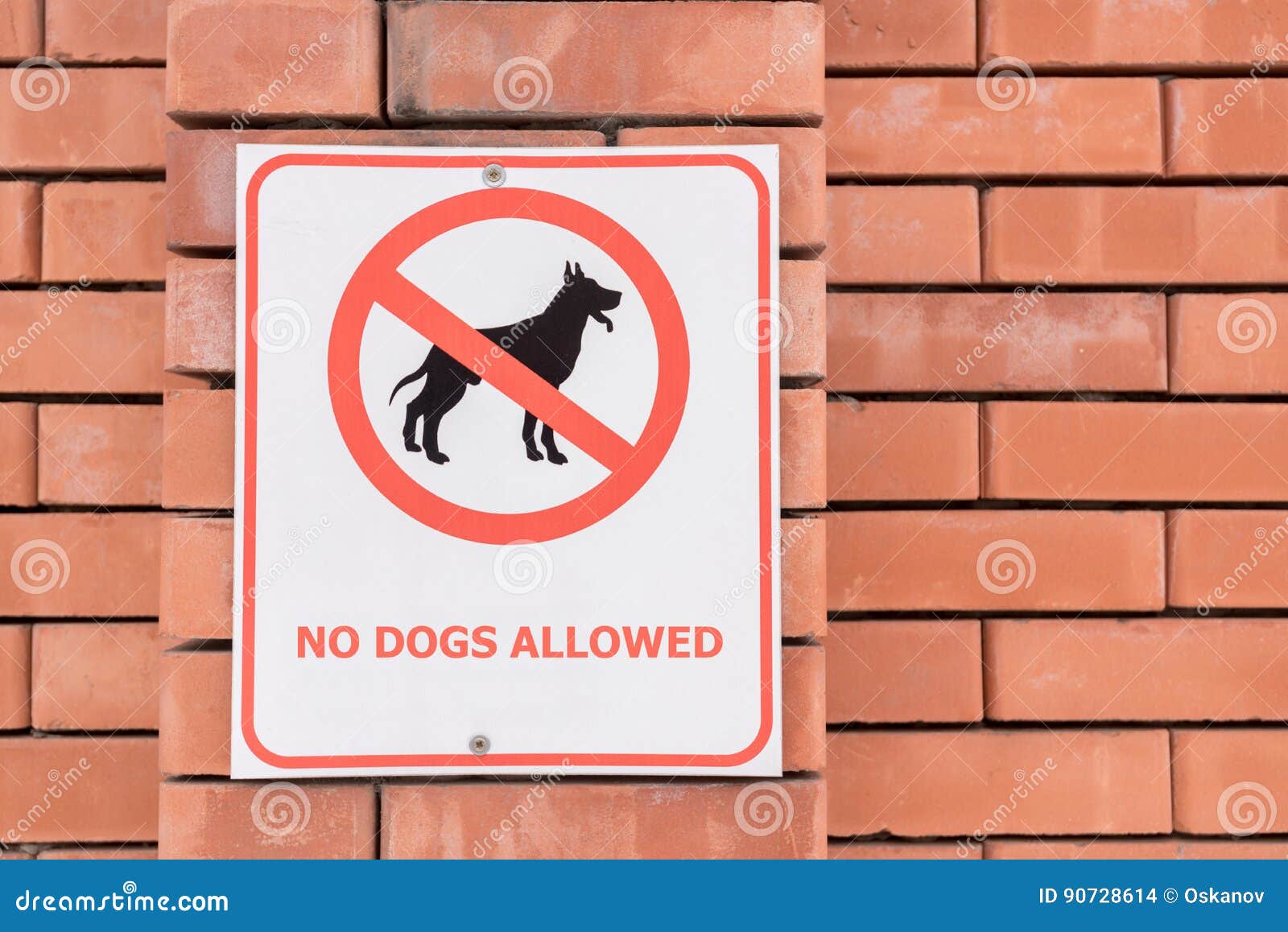 No dogs allowed sign stock photo. Image of attention - 90728614