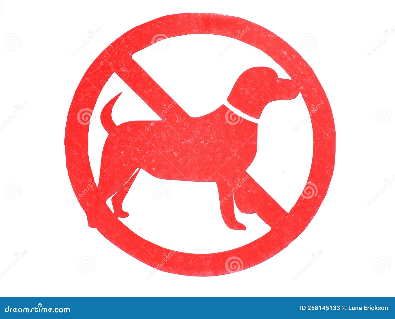 No Dogs Allowed Sign Red and White Stock Image - Image of fence, animal ...