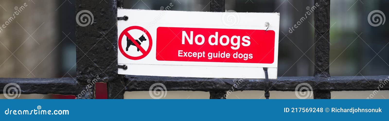No Dogs Except Guide Dogs Sign Outside School Stock Photo - Image of ...